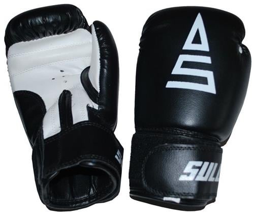 Box rukavice SULOV PVC, 6oz, černé (BOXRUK-PVC-6-1) | TSBOHEMIA.CZ