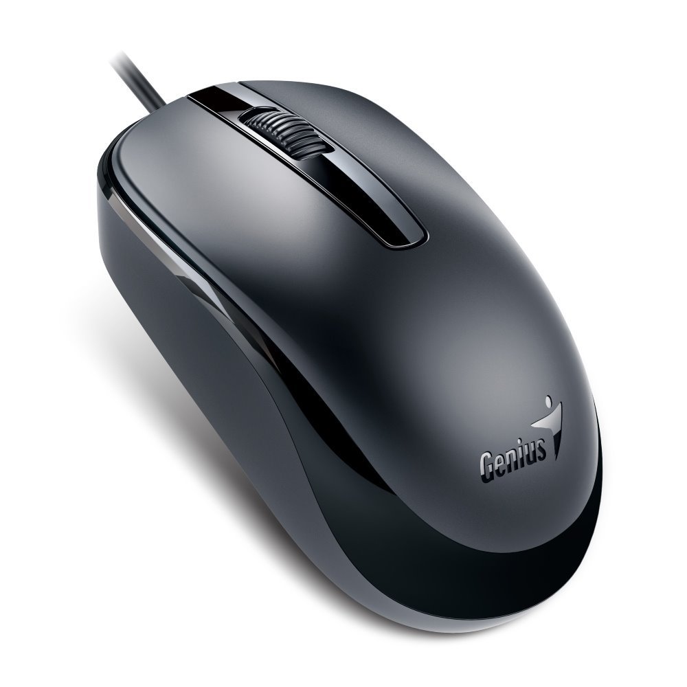 Genius DX-120 černá (31010105106) | TSBOHEMIA.CZ