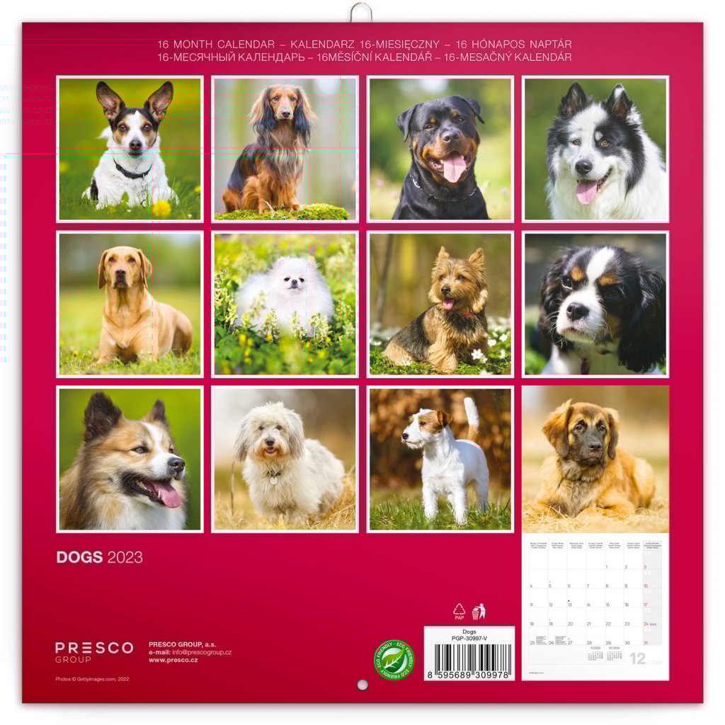 Poznámkový kalendář Psi 2023, 30 × 30 cm (PGP-30997-V) | TSBOHEMIA.CZ